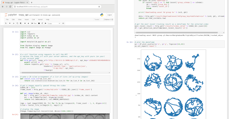 Loopy API Introduction – loopbio blog