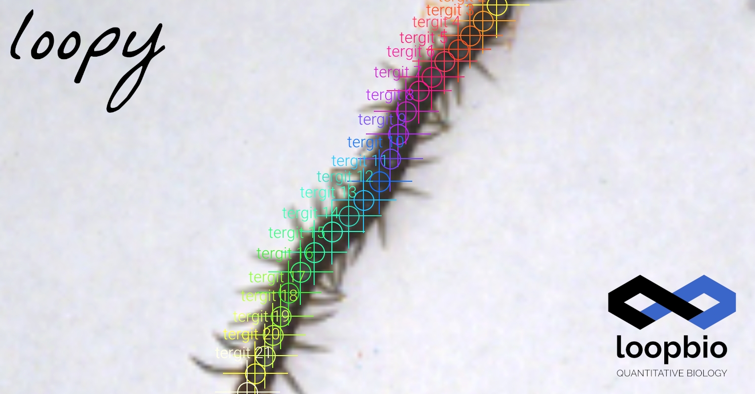 Skeleton Tracking With Deep Learning - Loopy vs. Centipedes – loopbio blog