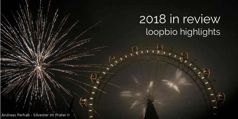 2018 In Review – loopbio blog